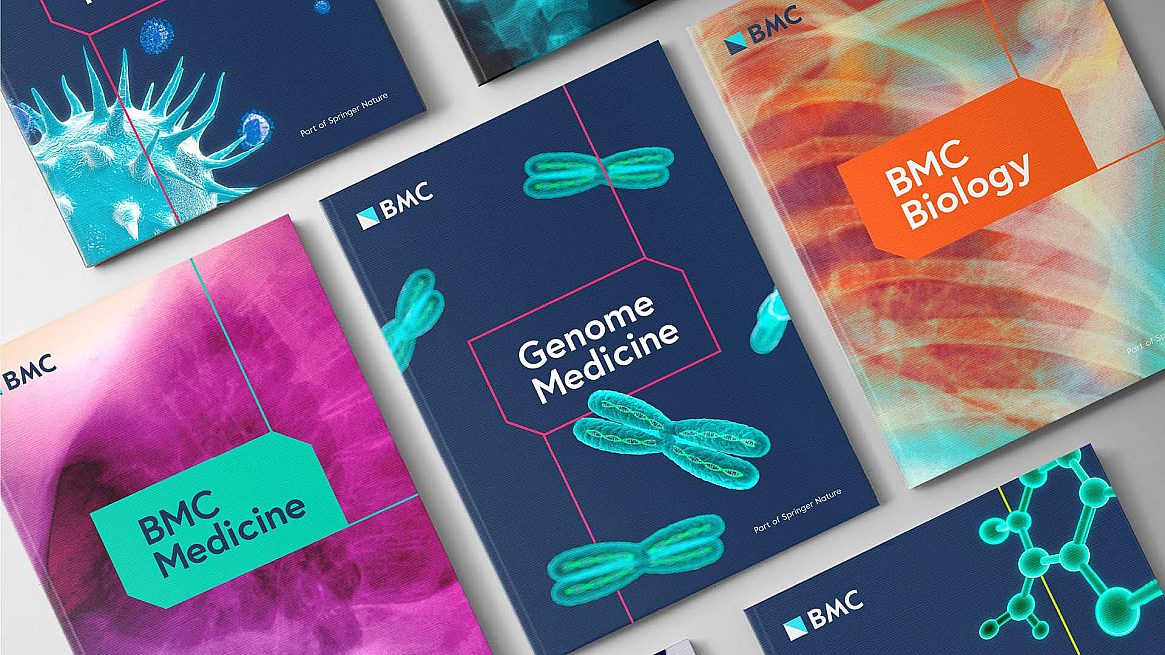 True North | BMC | Positioning, brand architecture, brand identity,…