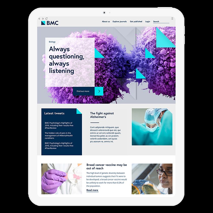 True North | BMC | Positioning, brand architecture, brand identity,…