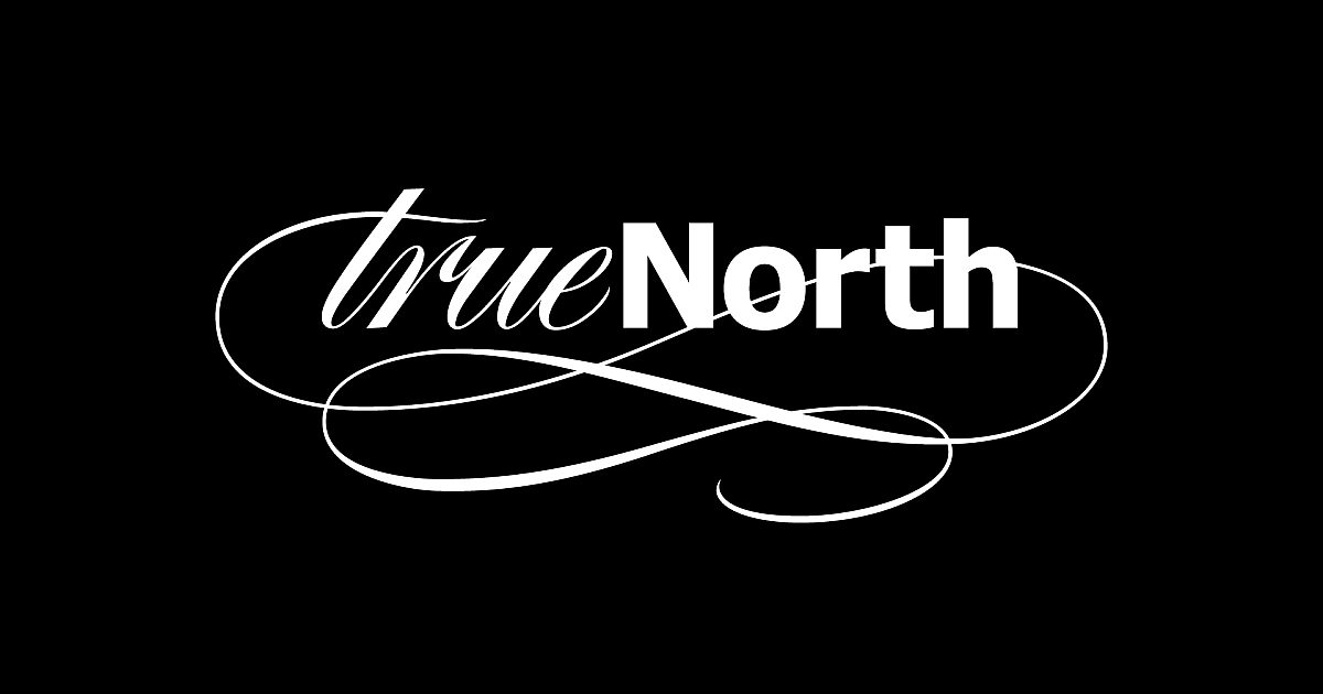 True North | Projects | Brand Strategy and Brand identity